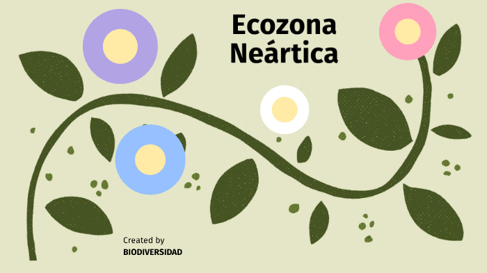 Ecozona Neartica by Juliana Melan on Prezi