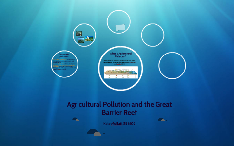 Agricultural Pollution and the Great Barrier Reef by Kate Moffatt on Prezi