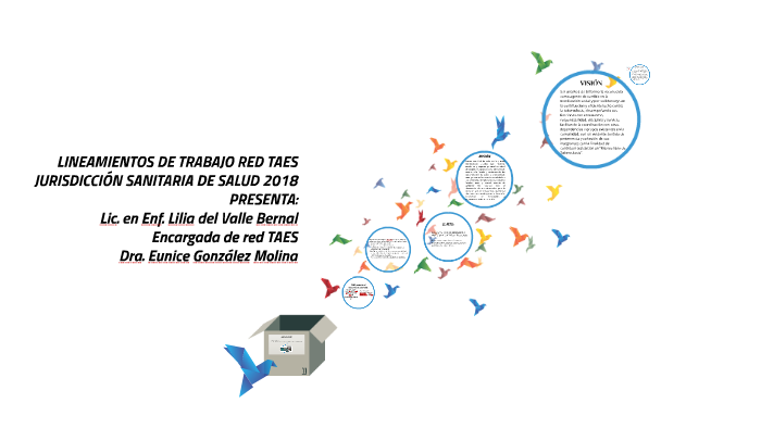 LINEAMIENTOS DE TRABAJO RED TAES JURISDICCIÓN SANITARIA DE S by EUNICE ...