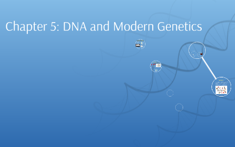 Chapter 5: DNA and Modern Genetics by Samantha Figg on Prezi