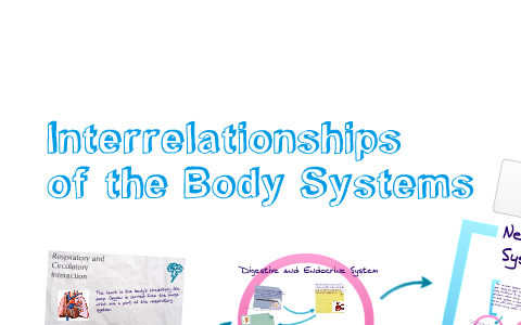 Interrelationships & interconnections of the body systems by Amanda ...