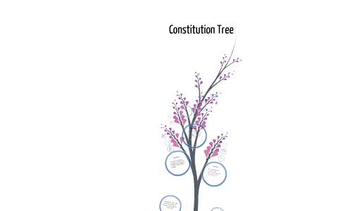 Constitution Tree by Kiran O'Farrell on Prezi