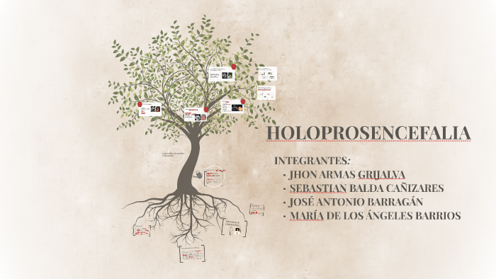 HOLOPROSENCEFALIA by on Prezi