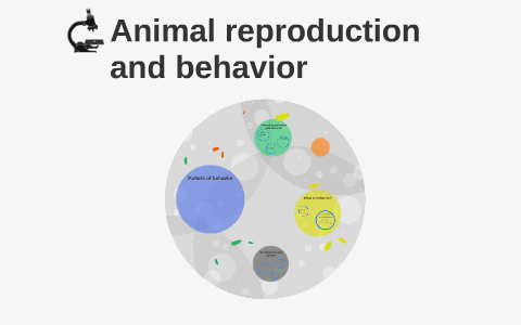 Animal reproduction and behavior by Lulú Salazar on Prezi