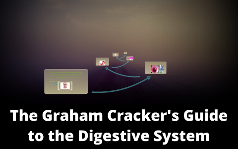 The Graham Cracker's Guide to the Digestive System by Abbie Smuda on Prezi