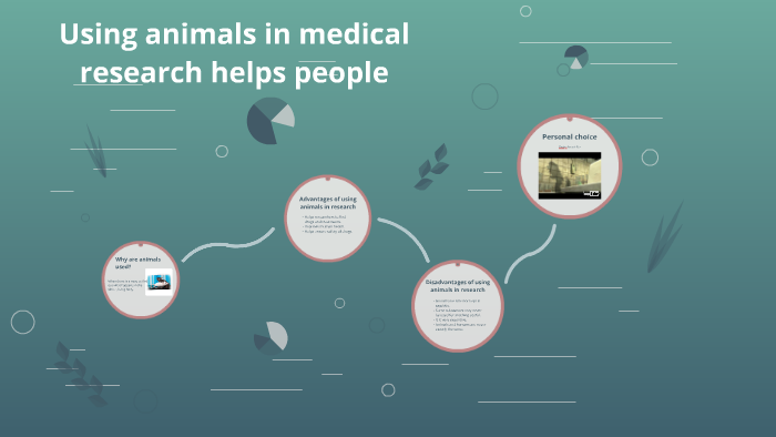 Using animals in medical research by Laura Morán on Prezi