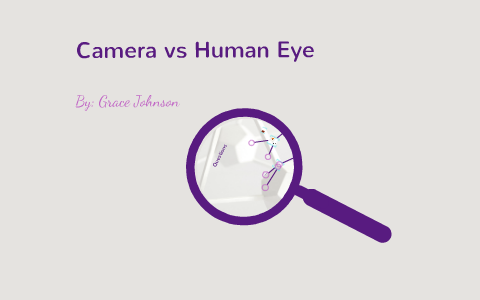 Camera vs Human Eye by grace johnson on Prezi