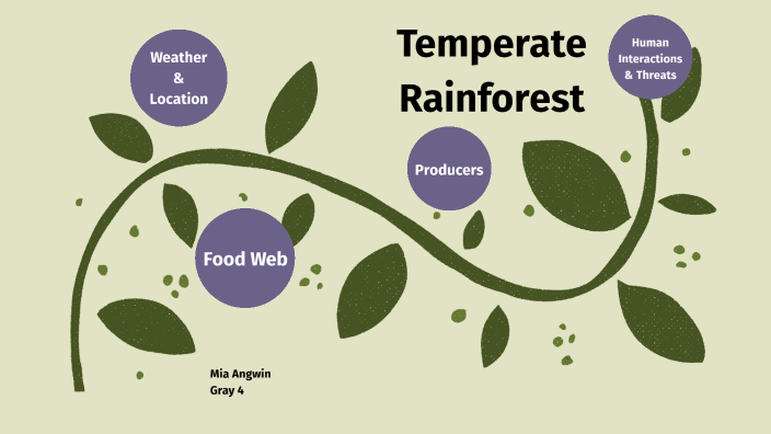 Temperate Rainforest Biome by Mia Angwin on Prezi