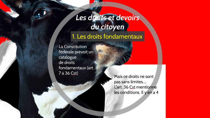 Les droits et devoirs du citoyens by on Prezi