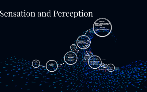 Sensation and Perception by Jennifer Klenke on Prezi