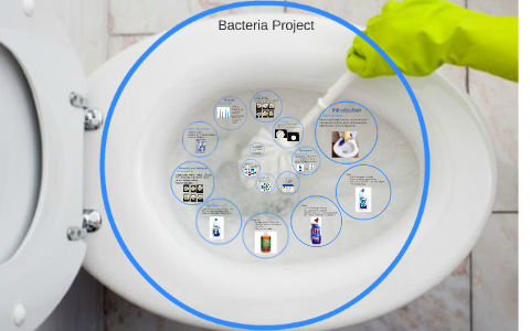 Bacteria Project by on Prezi
