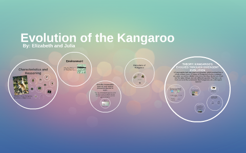 Evolution of the Kangaroo by julia v on Prezi
