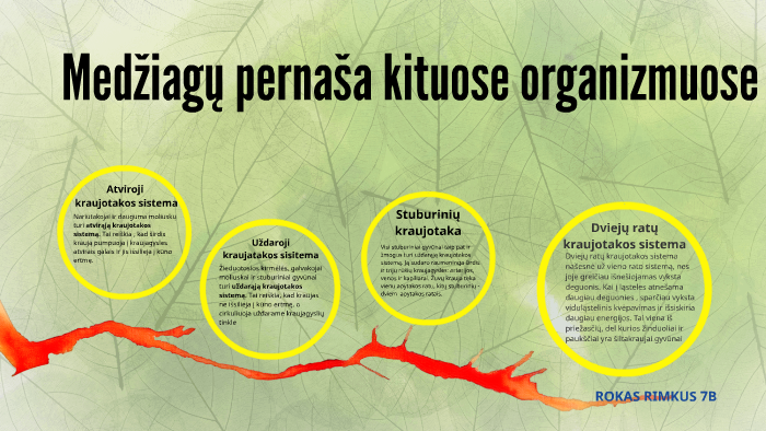 Medžiagų pernaša kituose organizmuose by rokas Rimkus on Prezi
