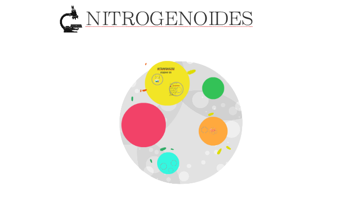 NITROGENOIDES by Ana Rpcabado on Prezi