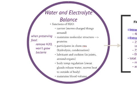 Water and Electrolyte Balance by Cynthia Chen on Prezi