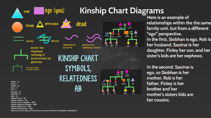 Kinship Chart: Symbols, Some Terms, An example by Siobhan McCollum on Prezi