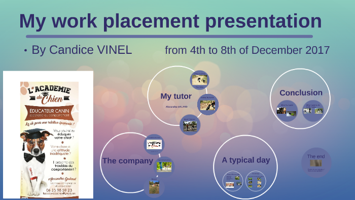 presentation on work placement