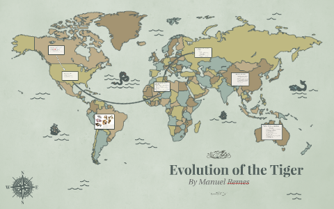 Evolution of the Tiger by Manuel Remes on Prezi