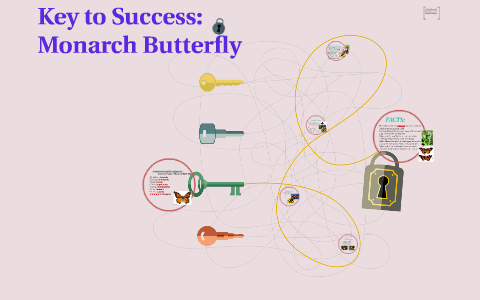 Key to Success: Monarch Butterfly by Madison Hines