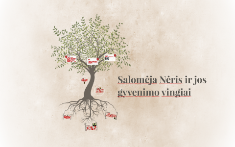 Salomﾄ曜a Nﾄ羊is Ir Jos Gyvenimo Vingiai By Laurynas Kalvaitis On Prezi