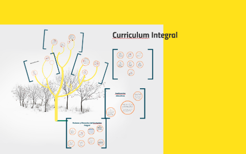 Curriculum Integral by Patricia Salazar A on Prezi