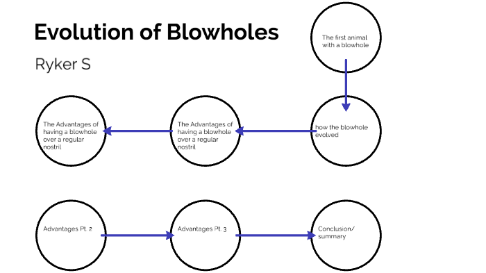 Evolution of Blowholes in Marine Mammals by Ryker Strong on Prezi
