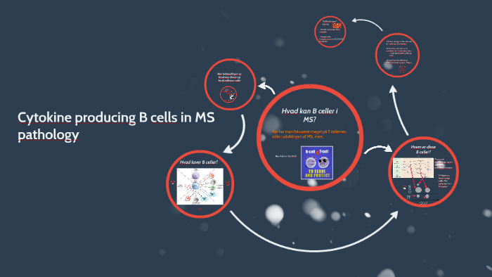 Cytokine producing B cells in MS pathology by Oskar McWilliam on Prezi