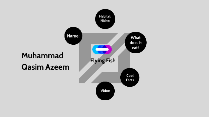 Flying Fish Project by Qasim Azeem on Prezi