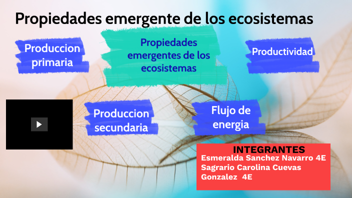 Propiedades emergente de los ecosistemas by Sagrario Carolina Cuevas ...