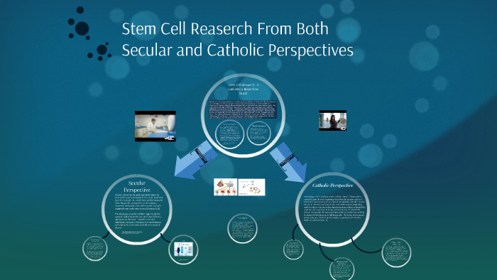 Stem Cell Reaserch From Both Secular and Catholic Perspectiv by Mike ...