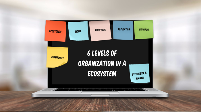 6 levels of organization in a ecosystem by shaniya brooks on Prezi