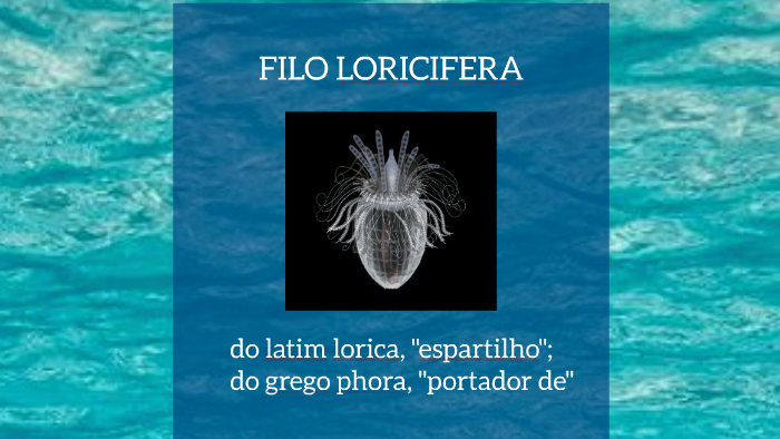 Filo Loricifera by Paulo Diêgo on Prezi