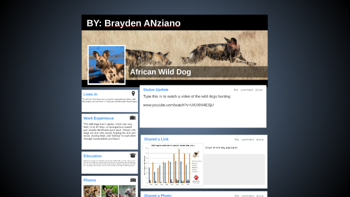 African Wild Dog by brayden anziano on Prezi