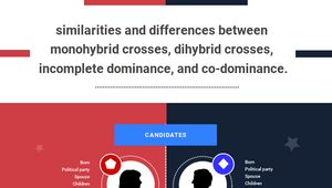 similarities and differences between monohybrid crosses, dihybrid ...