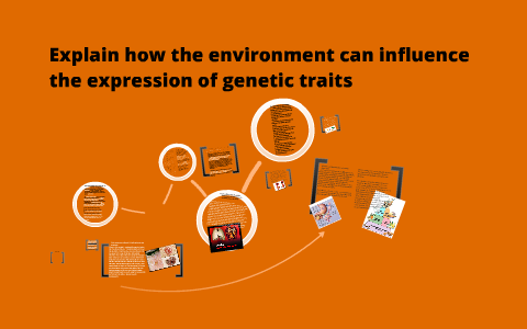 Final AP Biology Project by Arianna Harper on Prezi