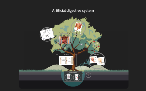 Artificial digestive system by Tom Hong