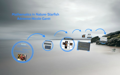 Mathematics in Nature-Starfish by Adrienne Gantt on Prezi