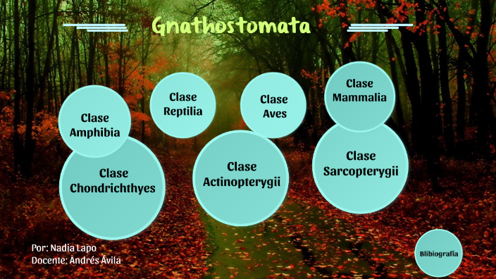 Biología animal by Nadia Lapo on Prezi