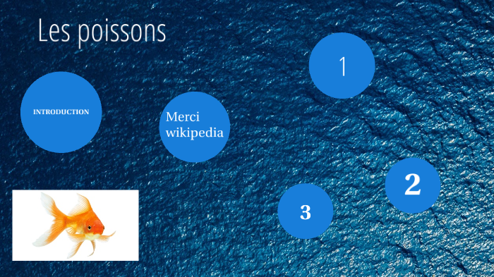 essai 2 by Gabin Chautemps on Prezi