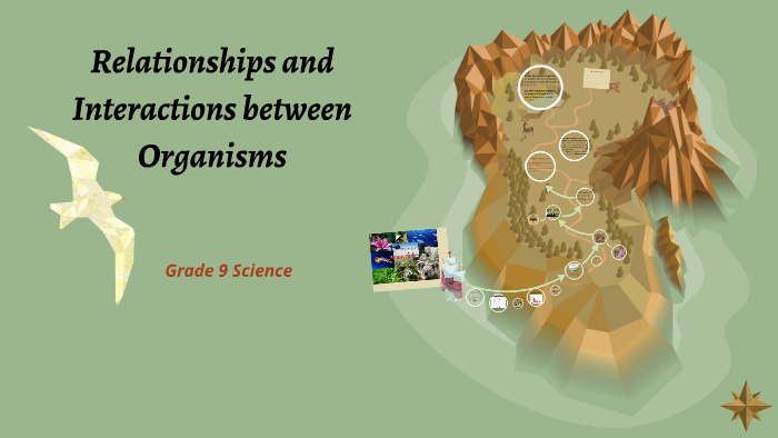 Relationships and Interactions between Organisms by on Prezi
