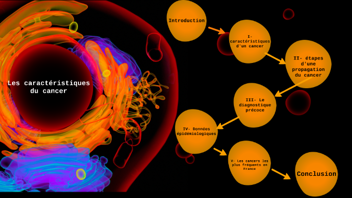 svt presentation by mariam idilbi on Prezi