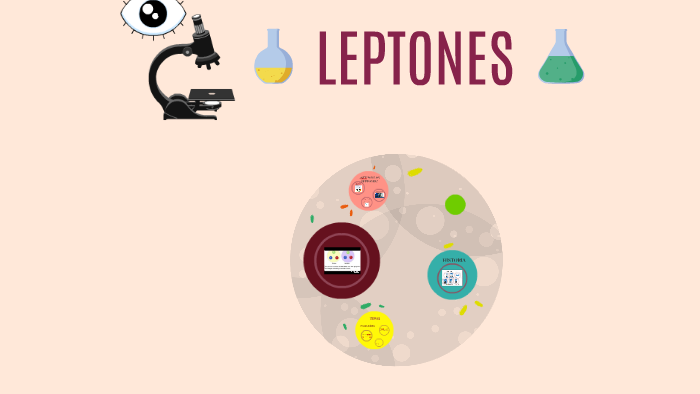 LEPTONES by Blanca Montoro Prieto on Prezi