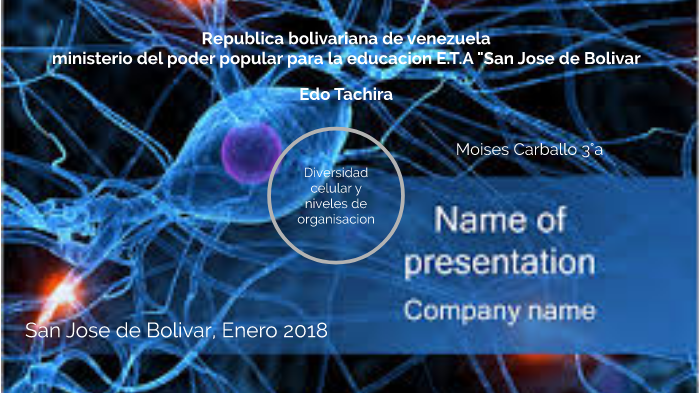 Diversidad celular y niveles de organizacion by moises carballo on Prezi