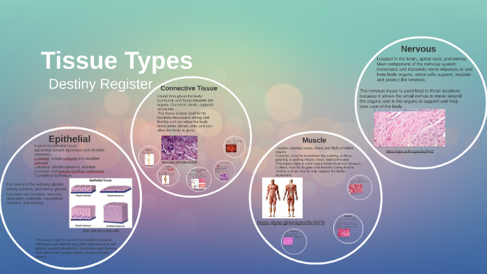 Tissue Types by Destiny Register