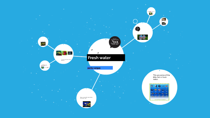 perla fresh water by Jessica Swope on Prezi