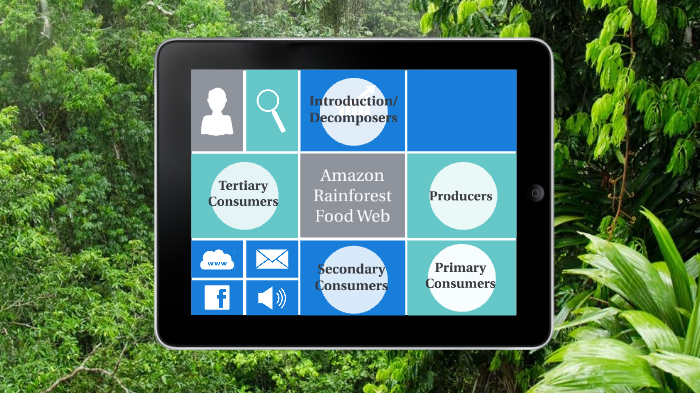 Amazon Rainforest Food Web by Isabelle Young on Prezi