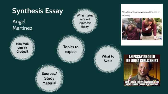 Synthesis Essay by Angel Martinez on Prezi