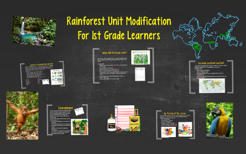 Rainforest Unit Modification by Heather Gardner on Prezi