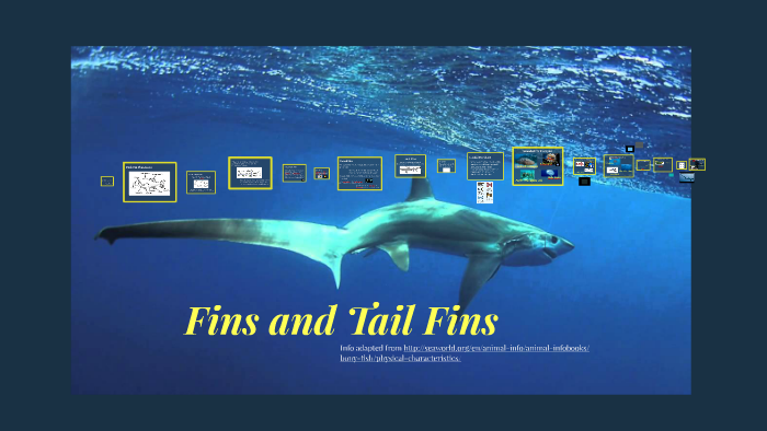 Fish Morphology: Caudal Fins by Melissa Dixon on Prezi