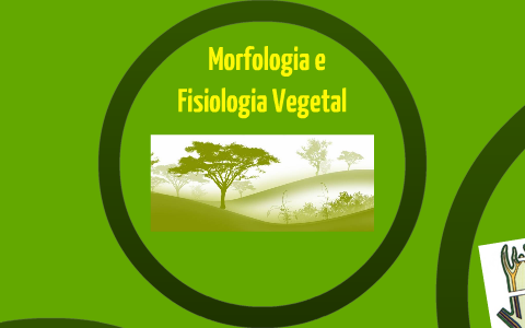 Morfologia e fisiologia vegetal by Matheus Lopes on Prezi